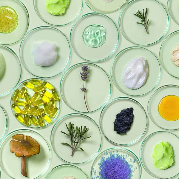 HERO INGREDIENTS: MUST-HAVE FOR EVERY BODY CARE PRODUCT? - H. Honeycup